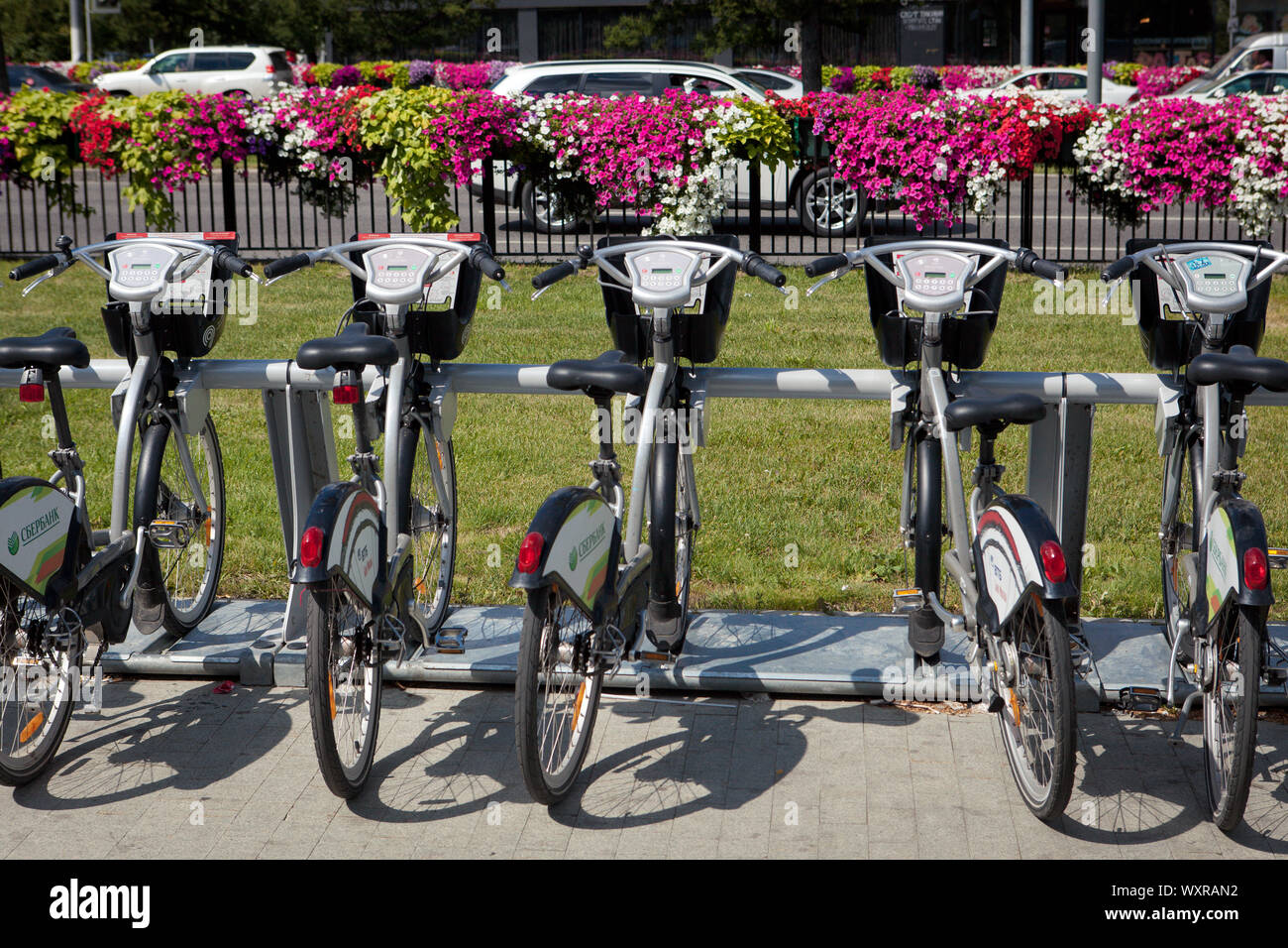 Bicycle rent station Moscow Stock Photo - Alamy