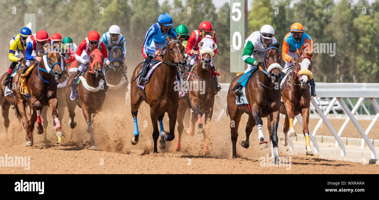 Horse Racing from King Khalid, Taif, Saudi Arabia 29/06/2019 Stock ...