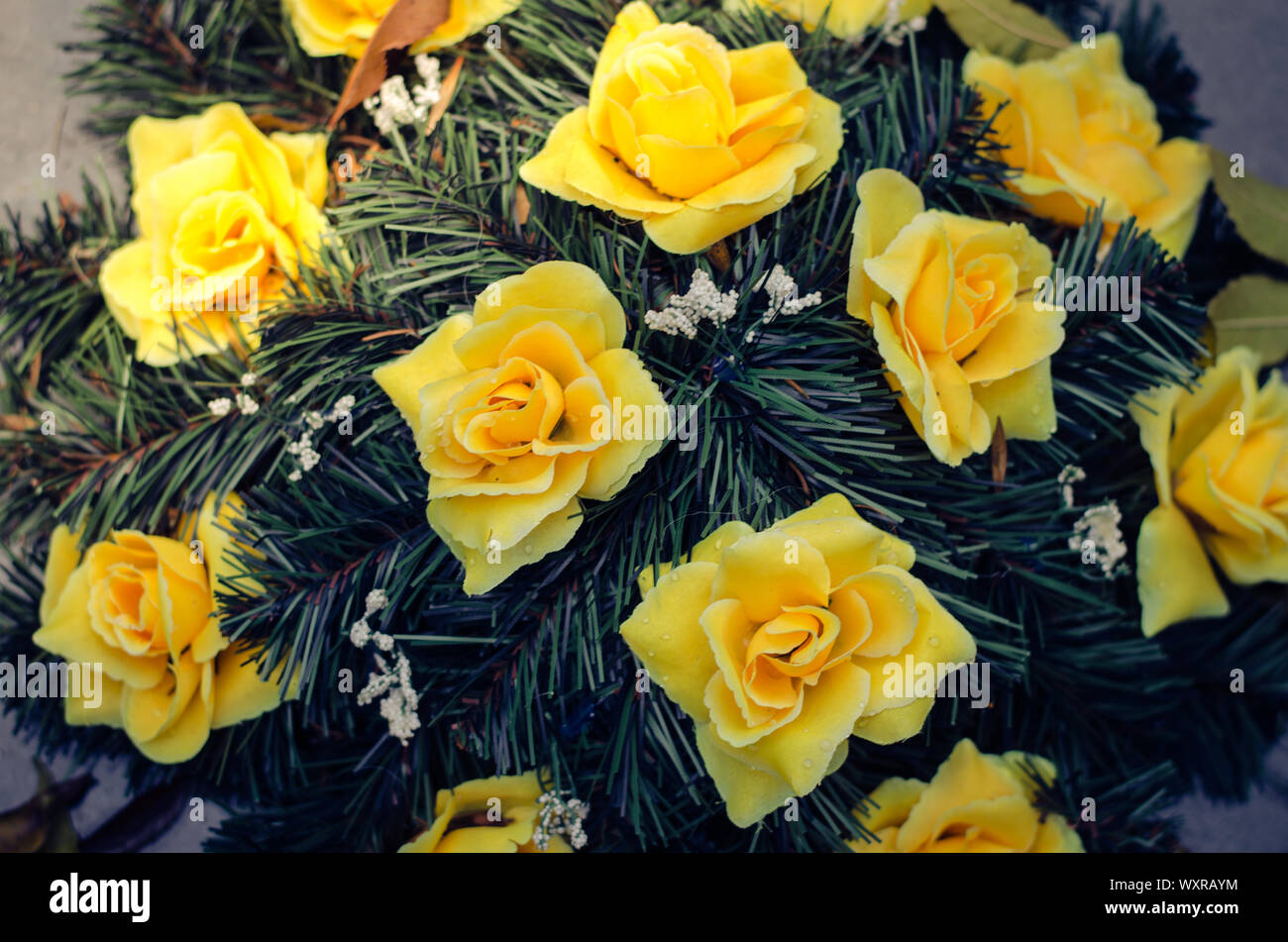 Matte tone hi-res stock photography and images - Alamy