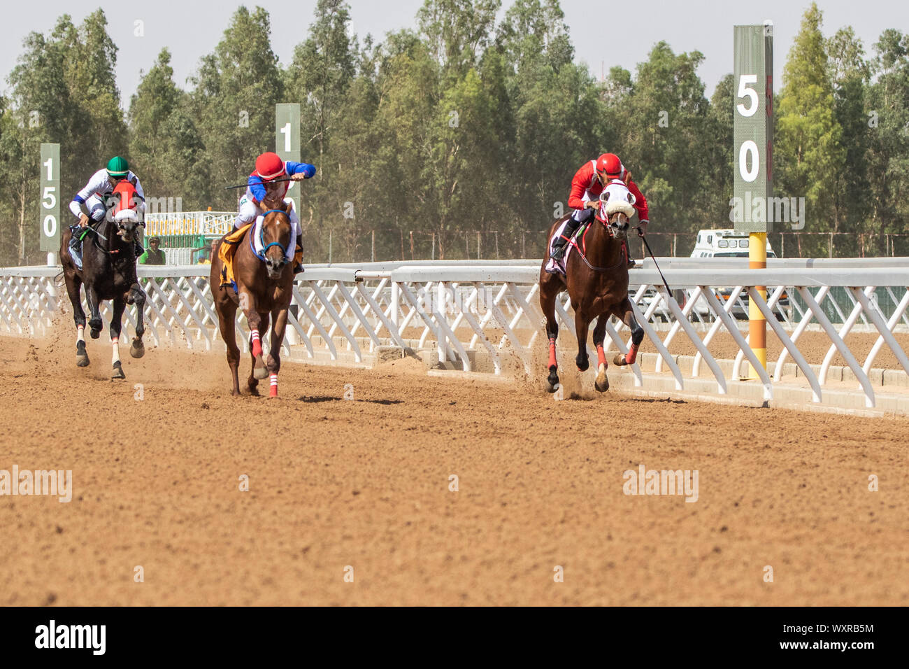 Horse Racing from King Khalid, Taif, Saudi Arabia 29/06/2019 Stock ...