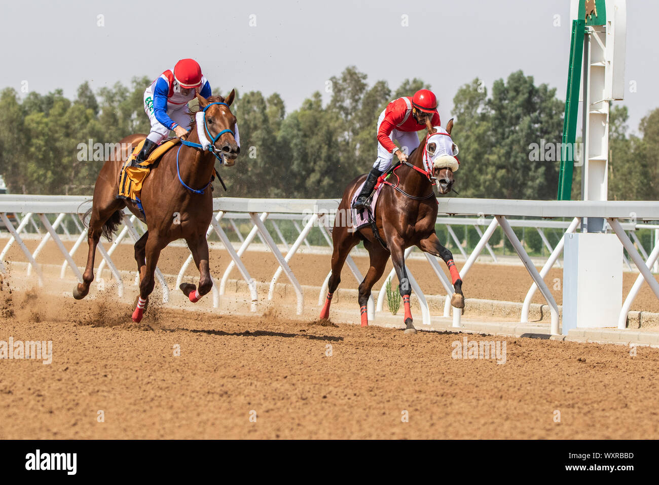 Horse Racing from King Khalid, Taif, Saudi Arabia 29/06/2019 Stock ...