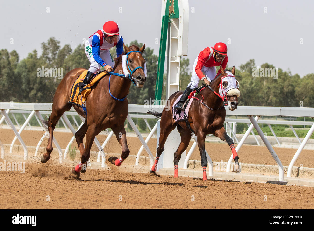 Horse Racing from King Khalid, Taif, Saudi Arabia 29/06/2019 Stock ...