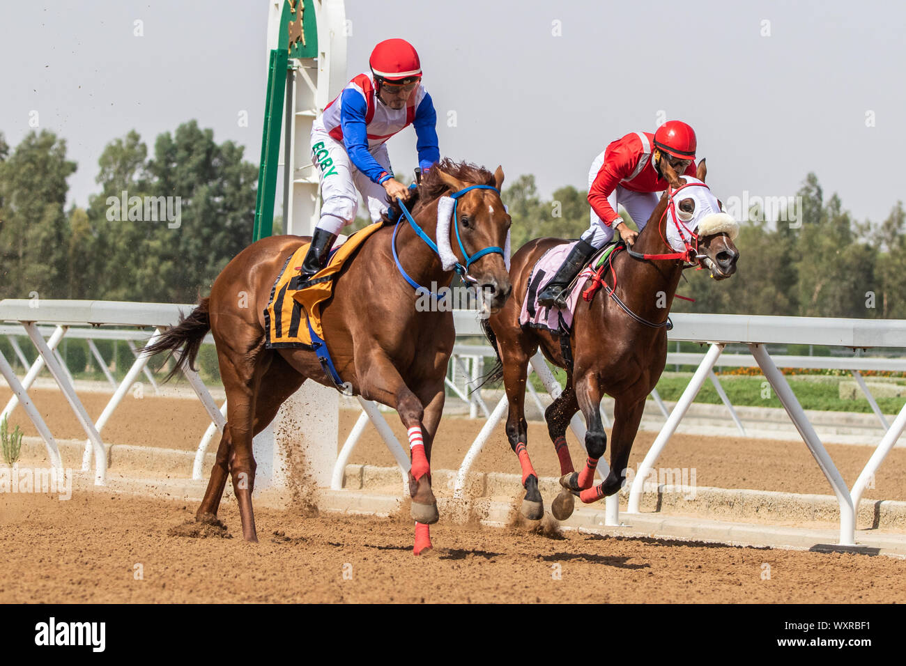 Horse Racing from King Khalid, Taif, Saudi Arabia 29/06/2019 Stock ...