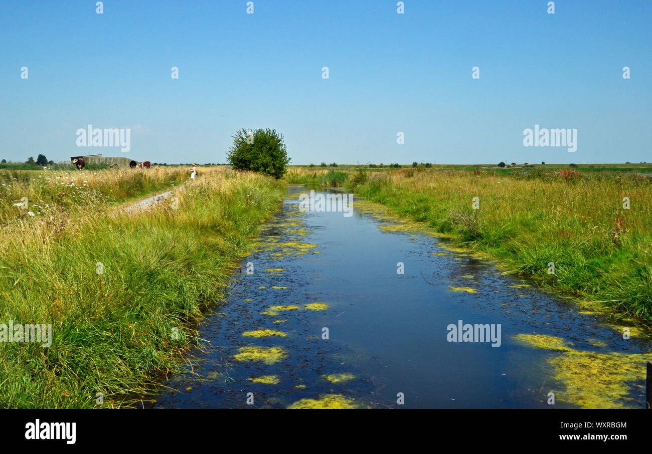 River habitats uk hi-res stock photography and images - Alamy