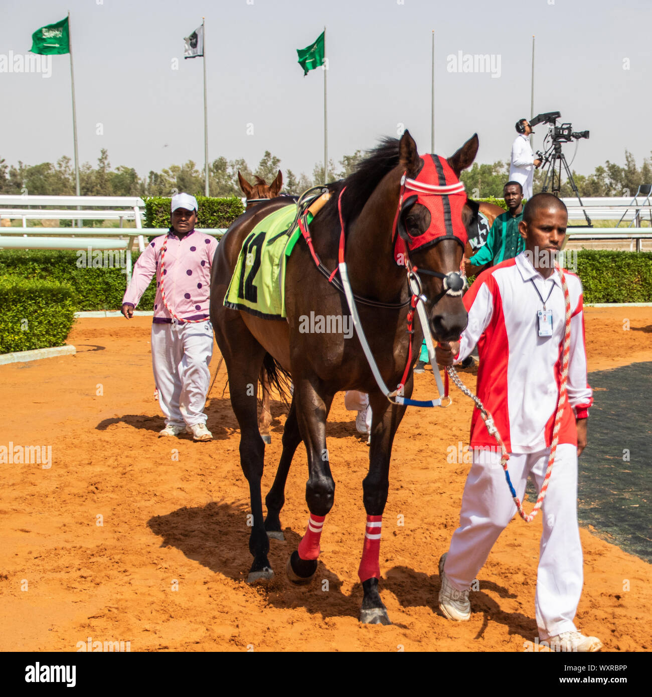 Horse Racing from King Khalid, Taif, Saudi Arabia 29/06/2019 Stock ...