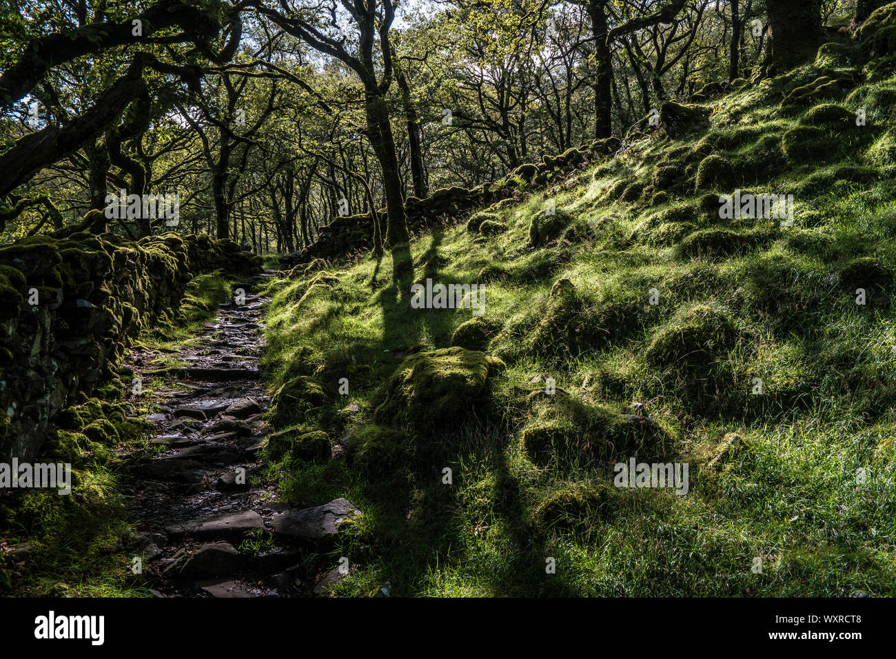 Rhinog rhinogs snowdonia hi-res stock photography and images - Alamy