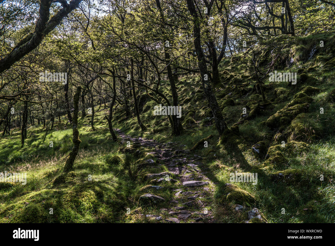 Llyn cwm bychan rhinog hi-res stock photography and images - Alamy