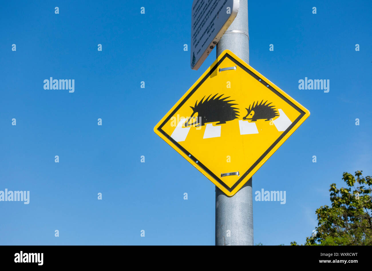 Hedgehog crossing sign hi-res stock photography and images - Alamy