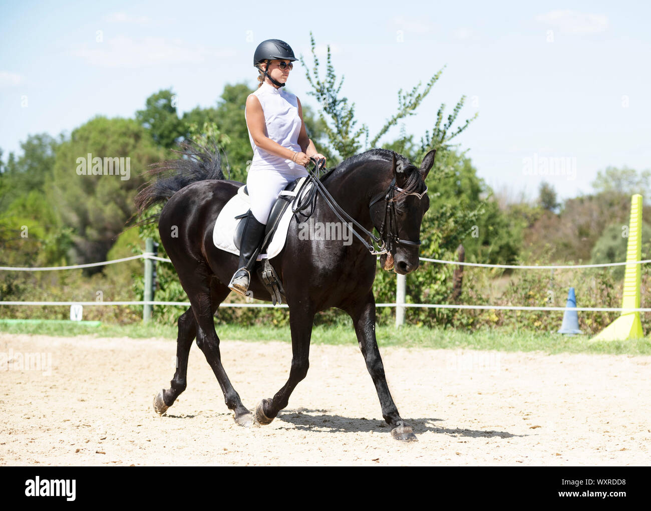 Riding stables teacher hi-res stock photography and images - Alamy