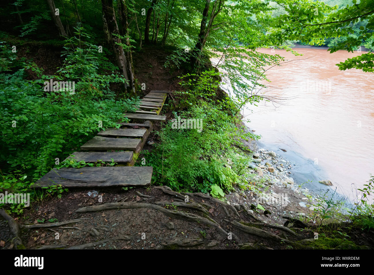 Planks wood laid in hi-res stock photography and images - Alamy