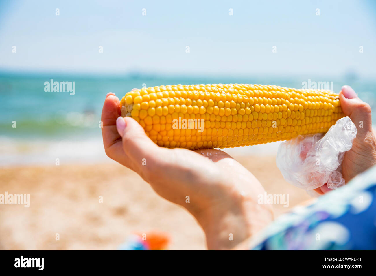 Traditional summer snack of boiled corn in hand. Blurred beach in ...