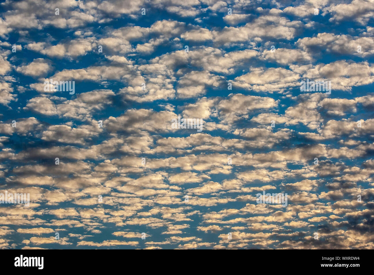 the sky covered with small clouds Stock Photo - Alamy