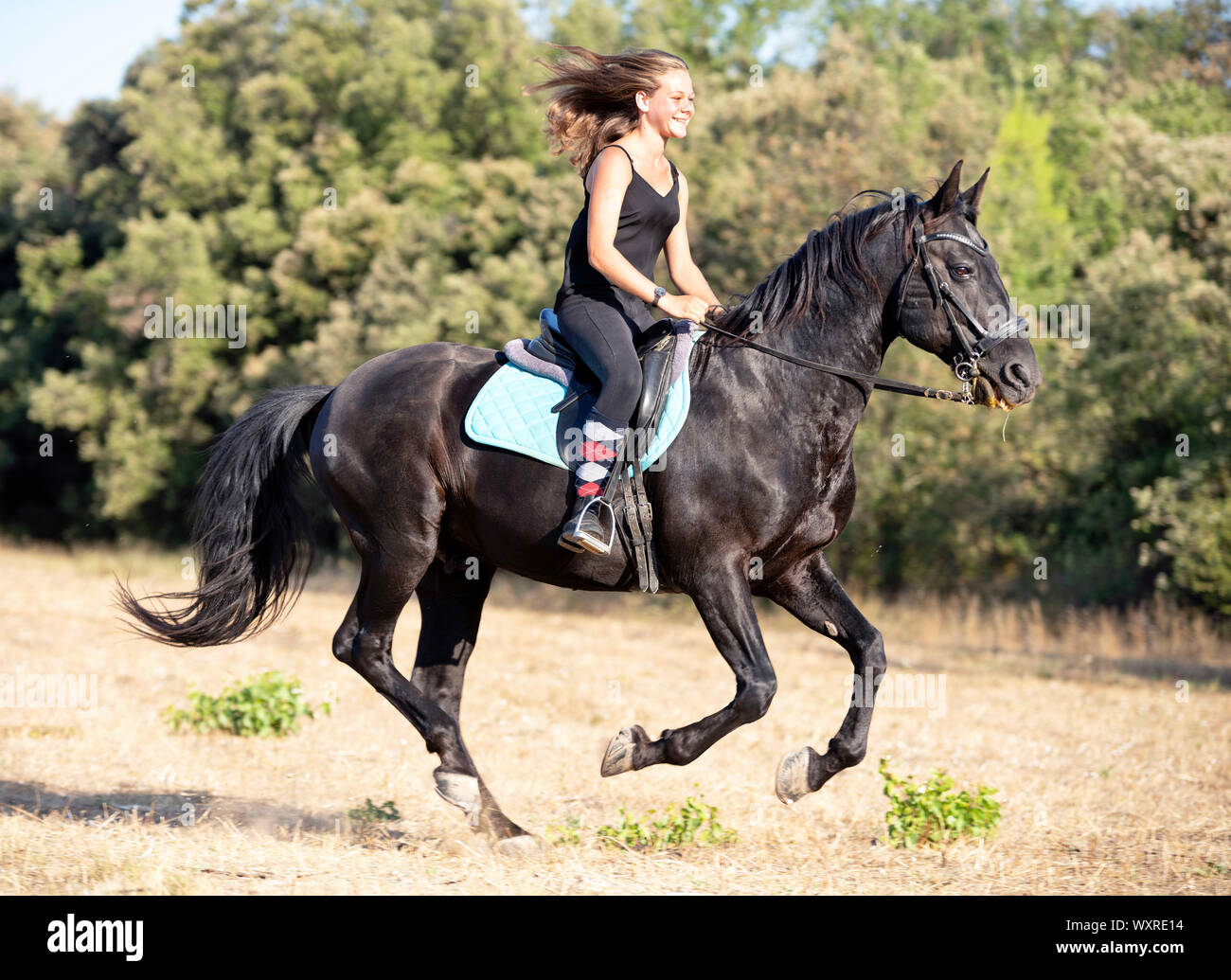 riding girl are training her black horse Stock Photo - Alamy