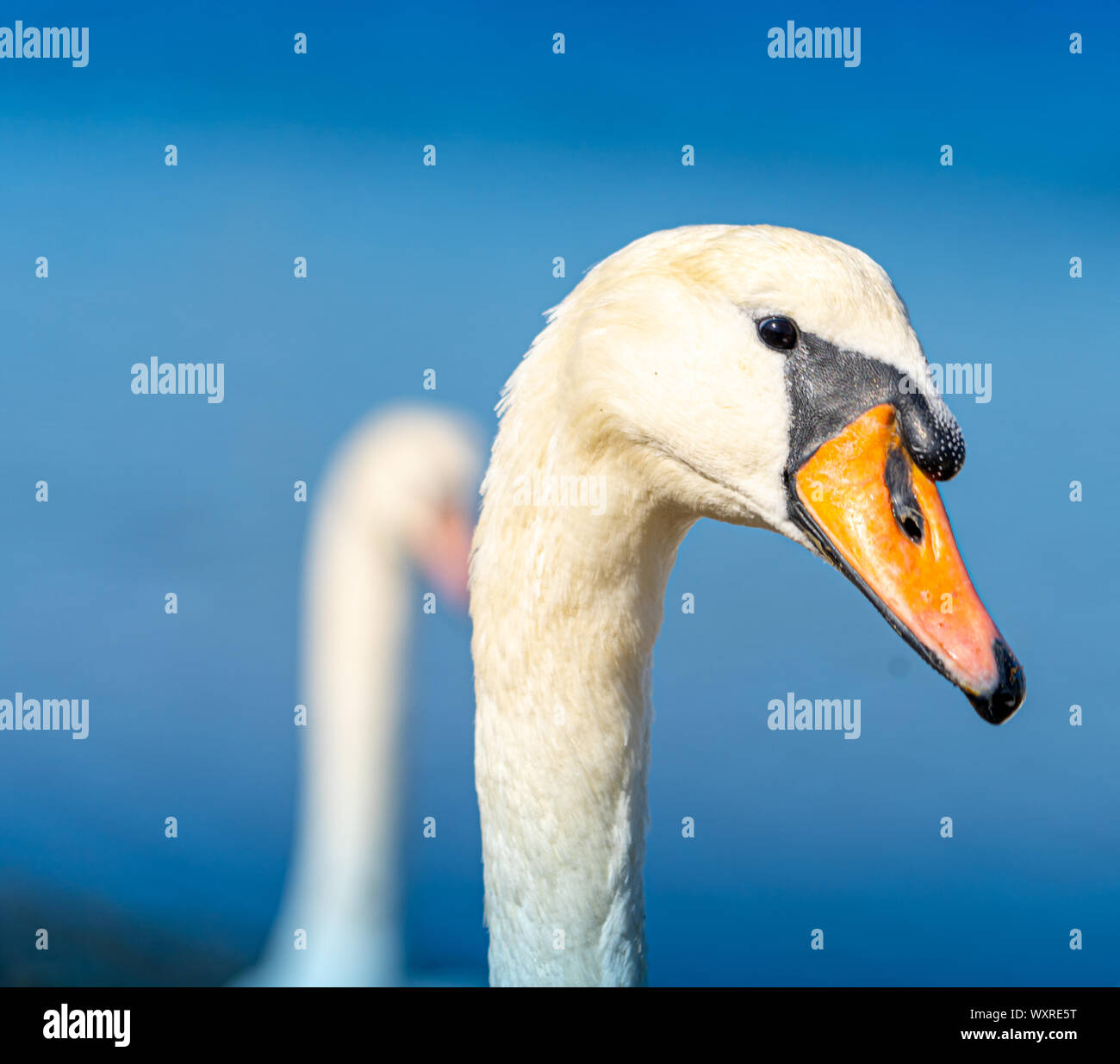 Hullbridge hi-res stock photography and images - Alamy