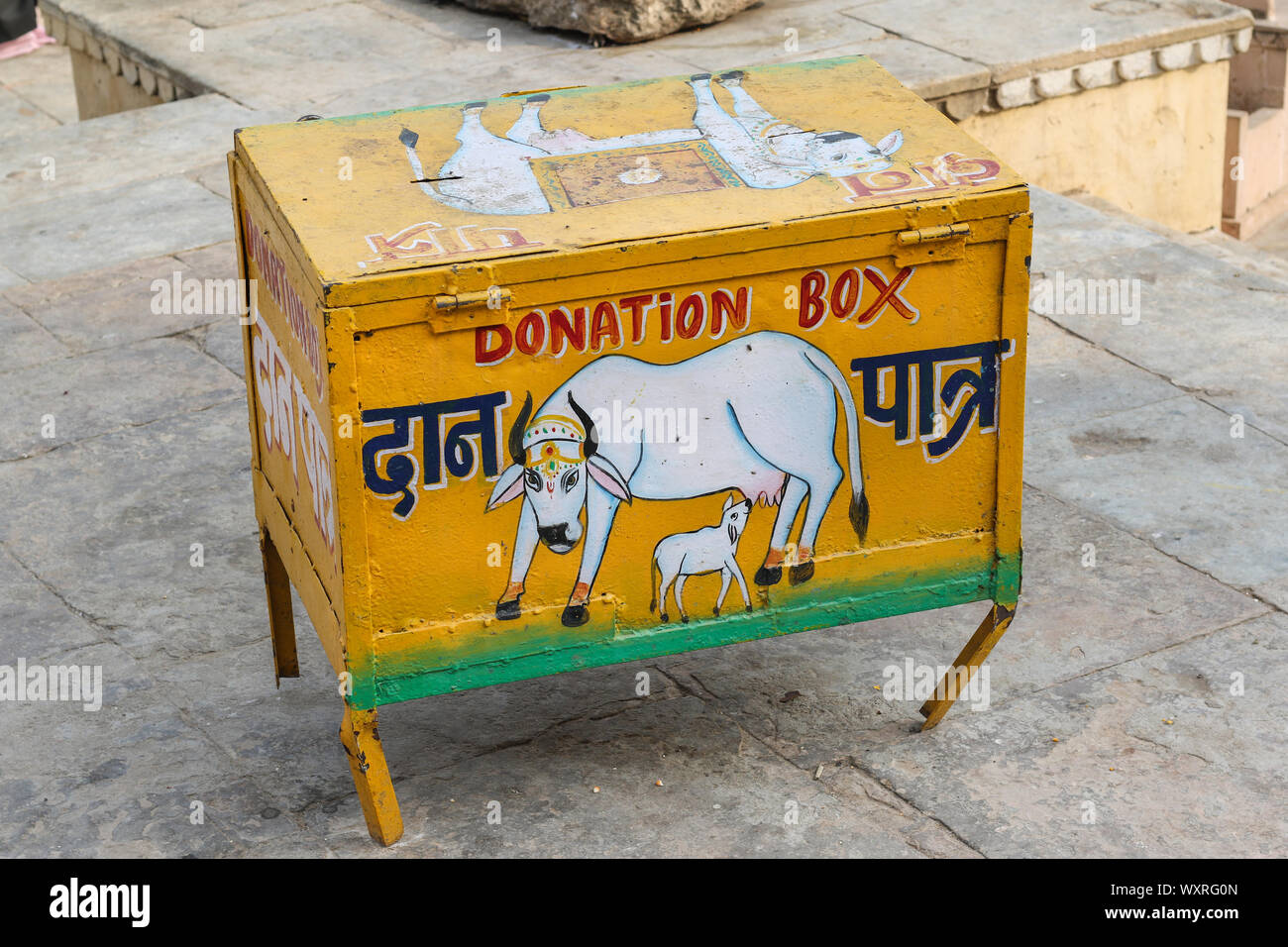 Donation box with cow motif in Rajasthan, India Stock Photo - Alamy