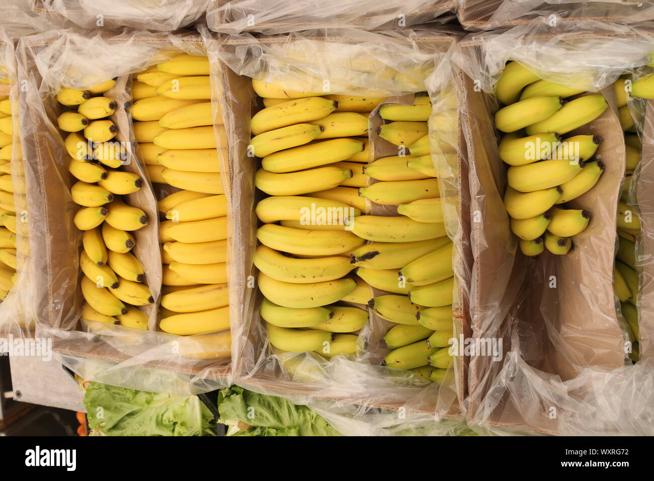 fruit market with yellow bananas on the boxes Stock Photo - Alamy