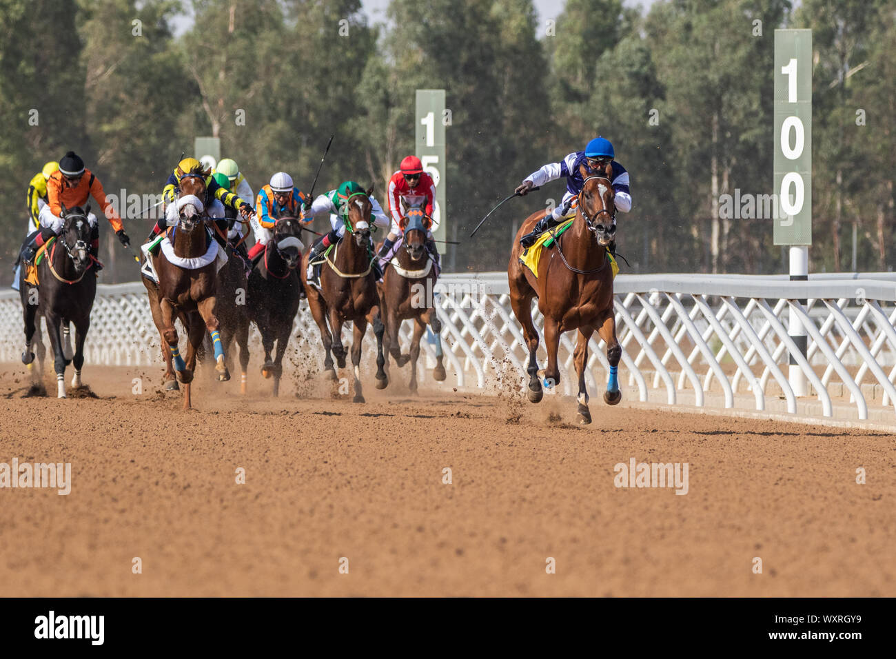 Horse Racing from King Khalid, Taif, Saudi Arabia 29/06/2019 Stock ...