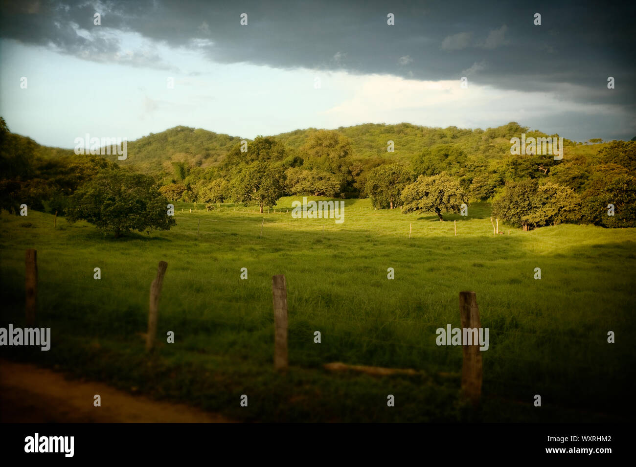 Things to see in costa rica hi-res stock photography and images - Alamy