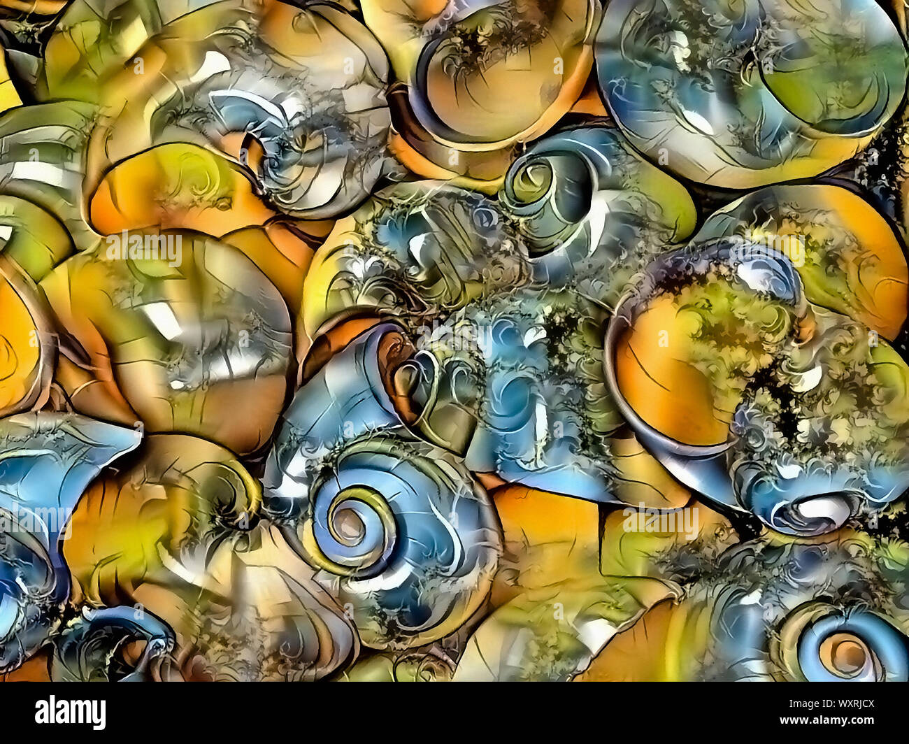 Colorful oil painting. Beautiful seashells Stock Photo - Alamy