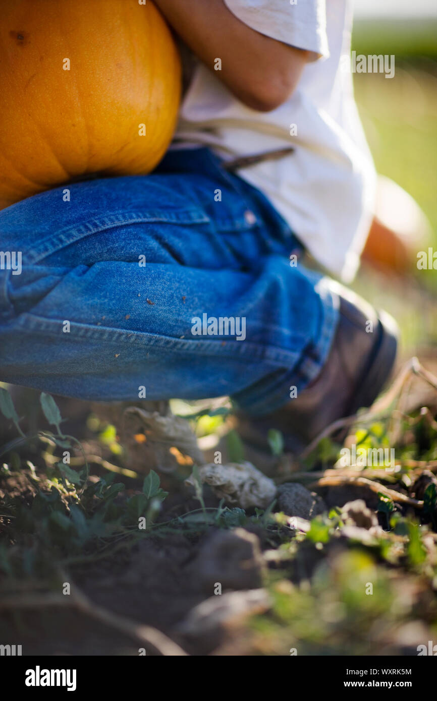 Young boy crouching with a pumpkin Stock Photo - Alamy