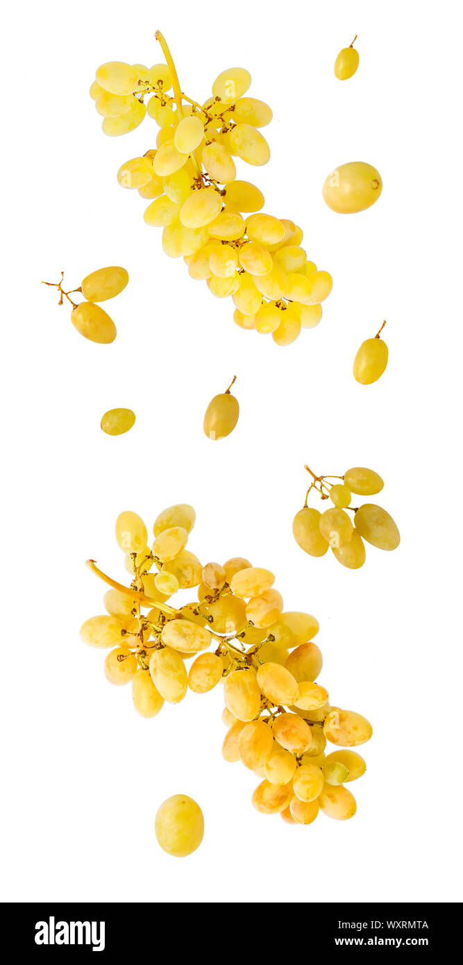 Falling grape fruits isolated on white background with clipping path ...
