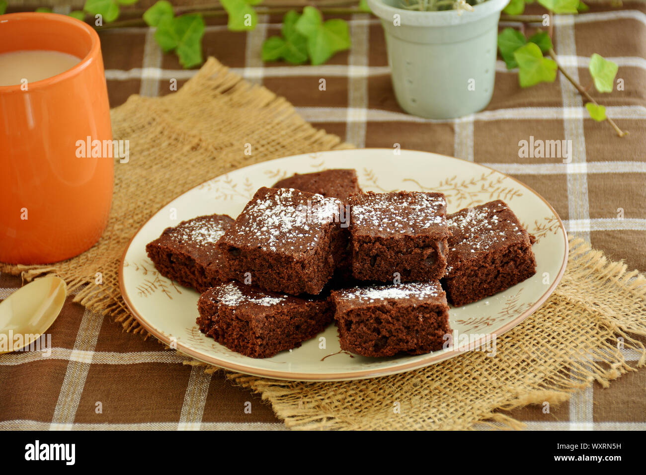 Coffee and home made brownies in a rustic Fall setting. Horizontal ...
