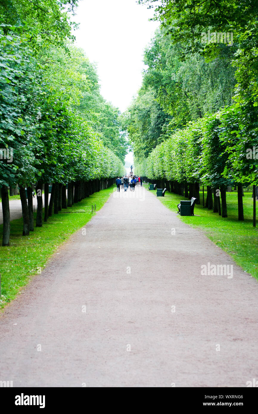 Rows trees side pathway hi-res stock photography and images - Alamy