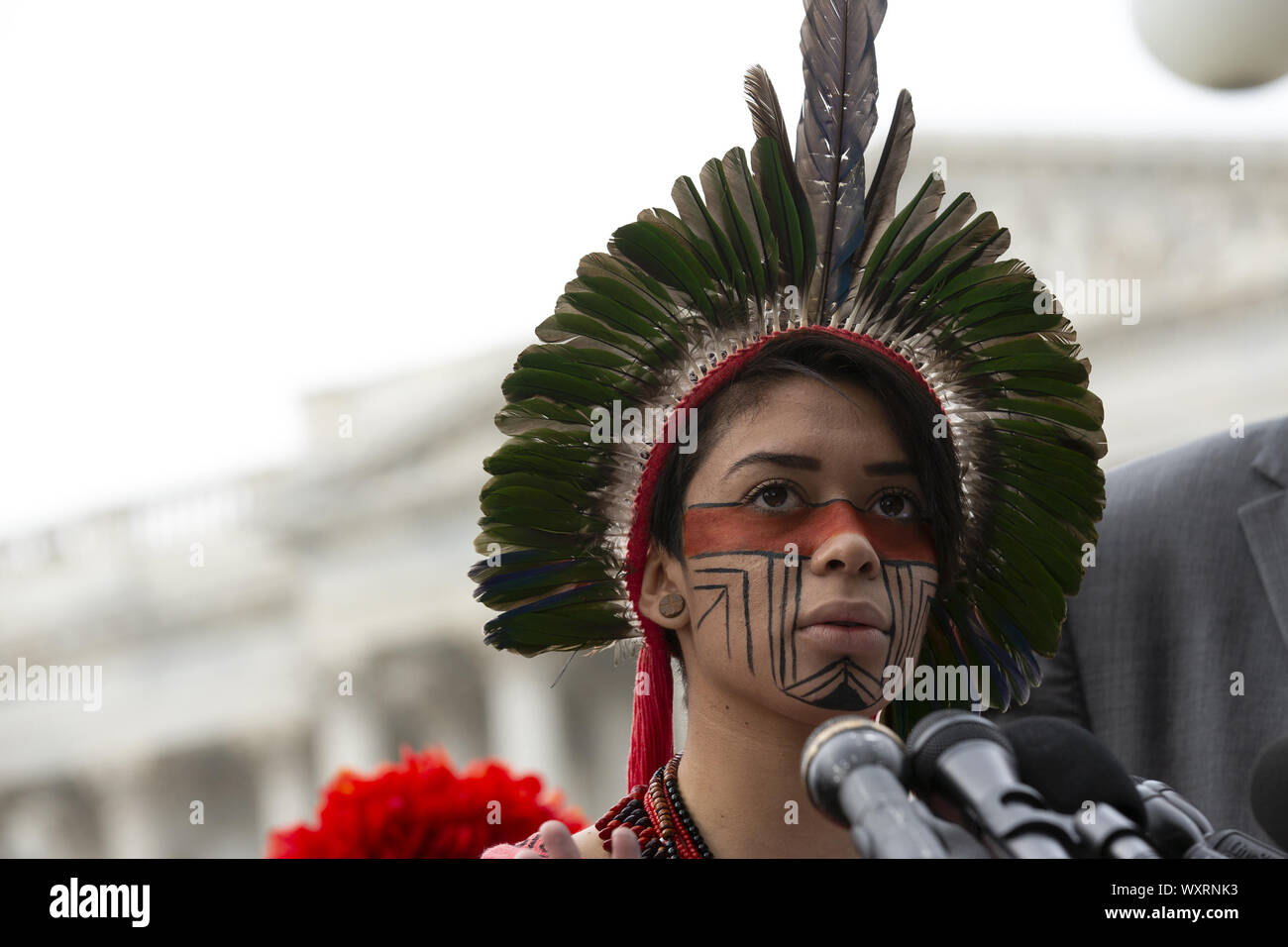 Artemisa barbosa hi-res stock photography and images - Alamy