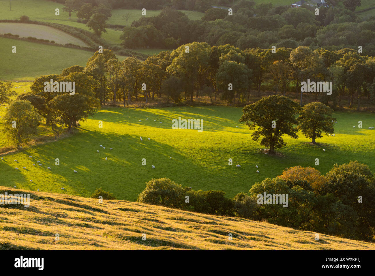 Builth Wells, Powys, UK. 17th Sep, 2019. The sun sets on the ...