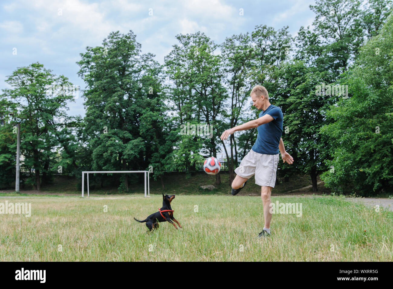 Dog Kicking Football High Resolution Stock Photography and Images - Alamy