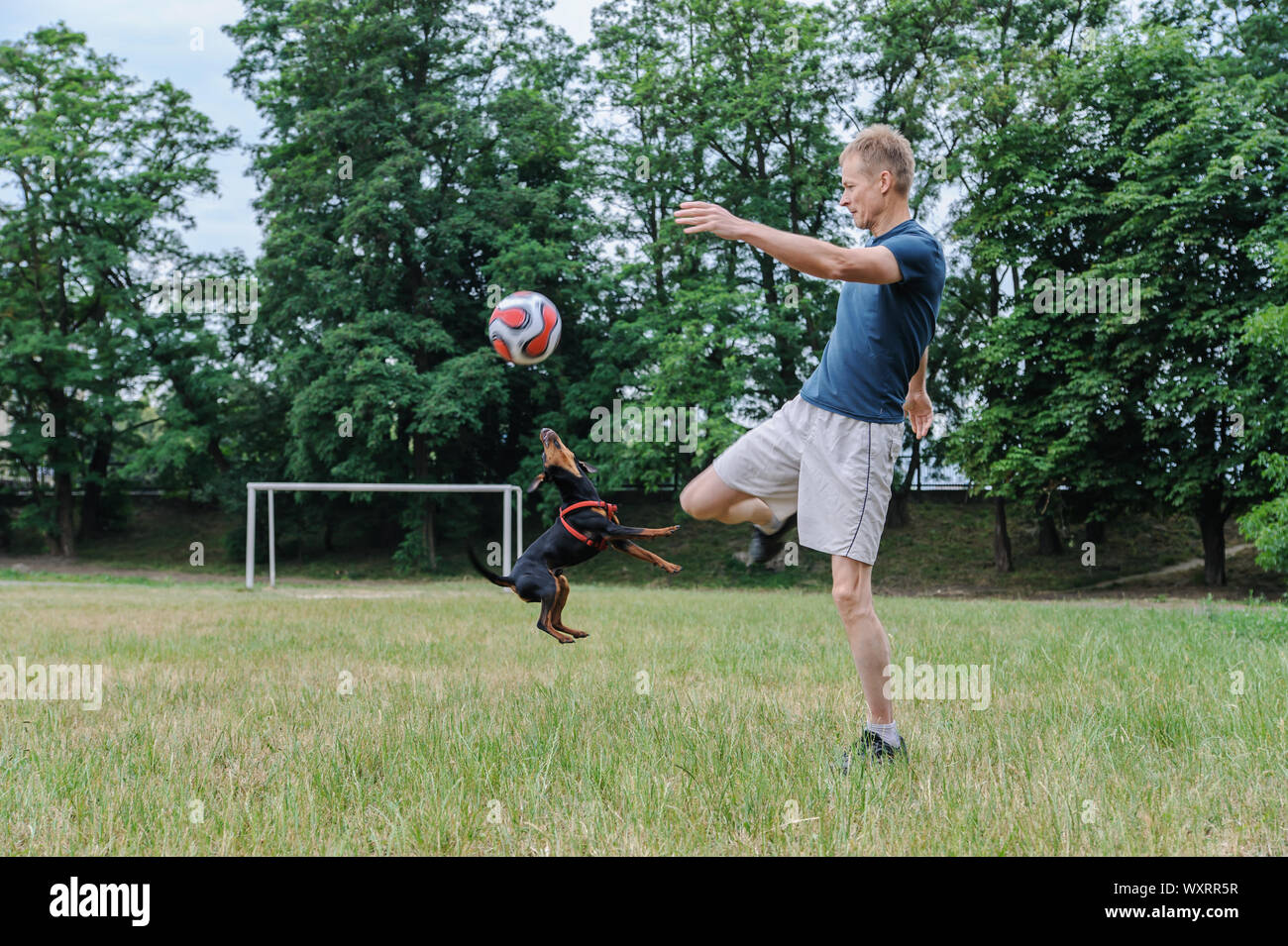 The man with a dog is playing with a soccer ball Stock Photo - Alamy