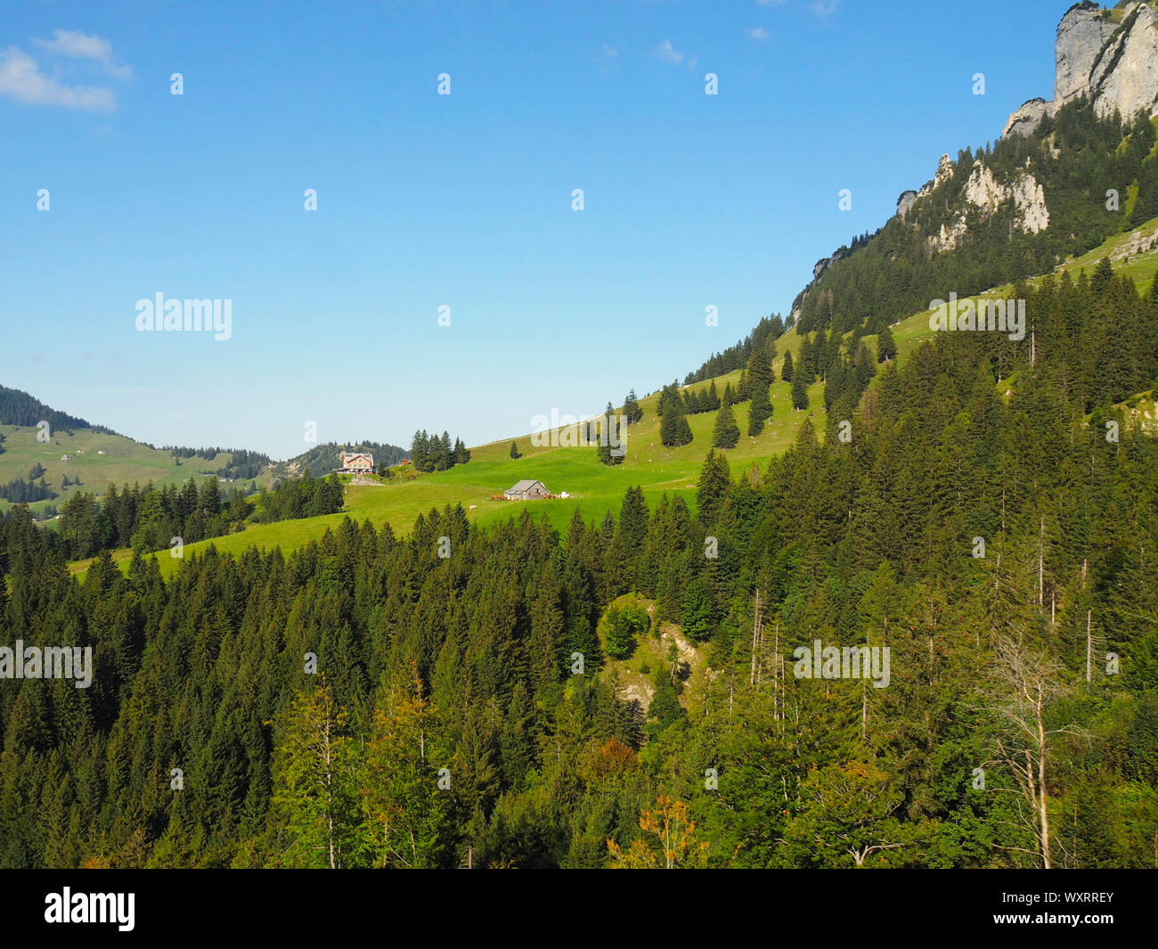 Kamor, Berg zwischen St. Galler Rheintal und Appenzell Innerhoden Stock ...
