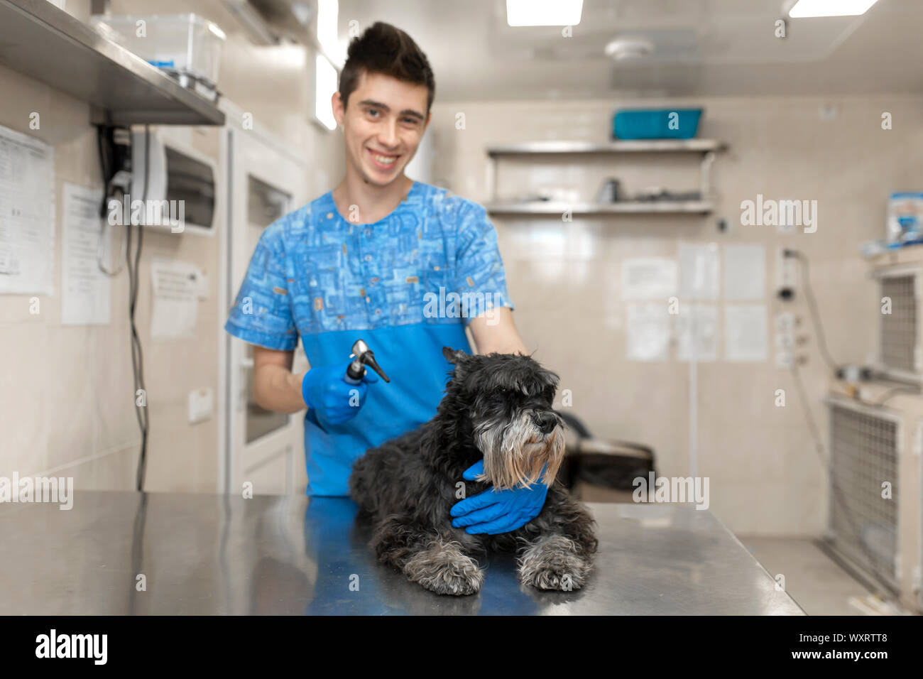 Veterinary technician cute hi-res stock photography and images - Alamy