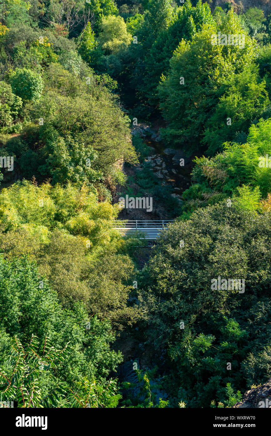 Overview of the Botanical Garden in Tbilisi, Georgia. Nature Stock ...