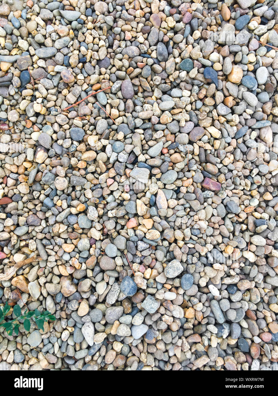 Background of small pebbles. Sea colorful stones. Texture for your ...