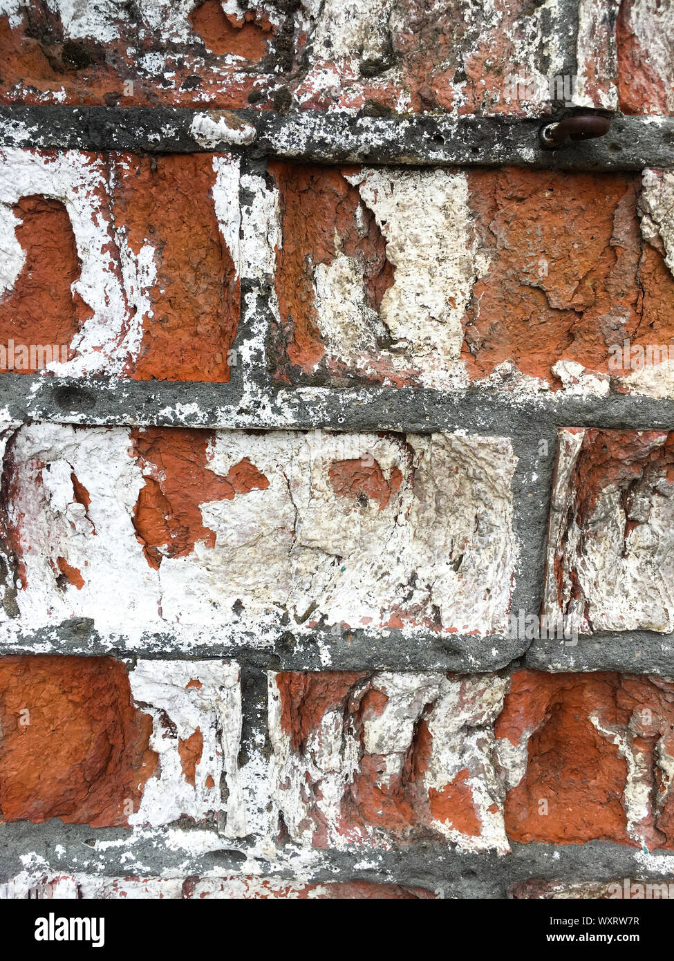 Brick red old wall covered with white paint. Bricks pattern. Close-up ...