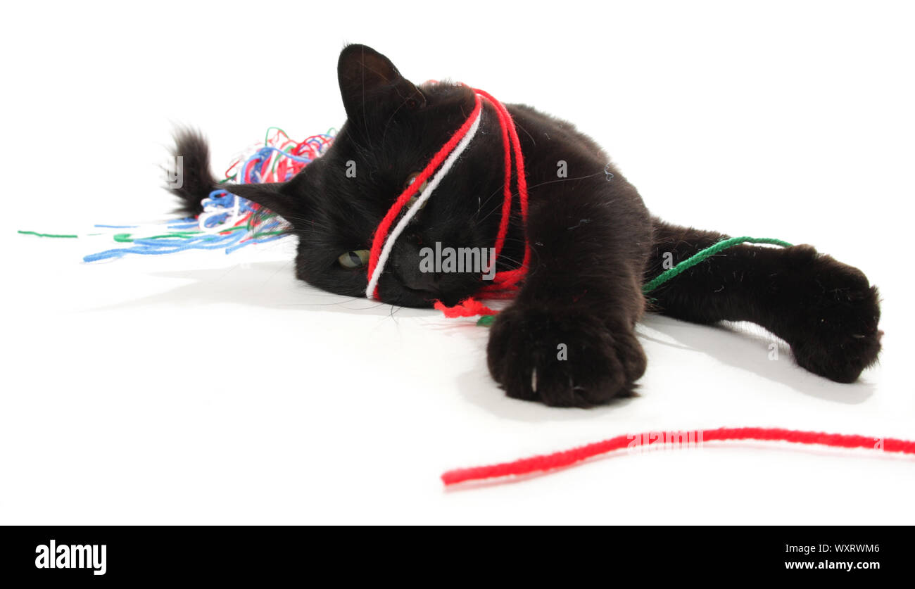 Playing silly string hi-res stock photography and images - Alamy