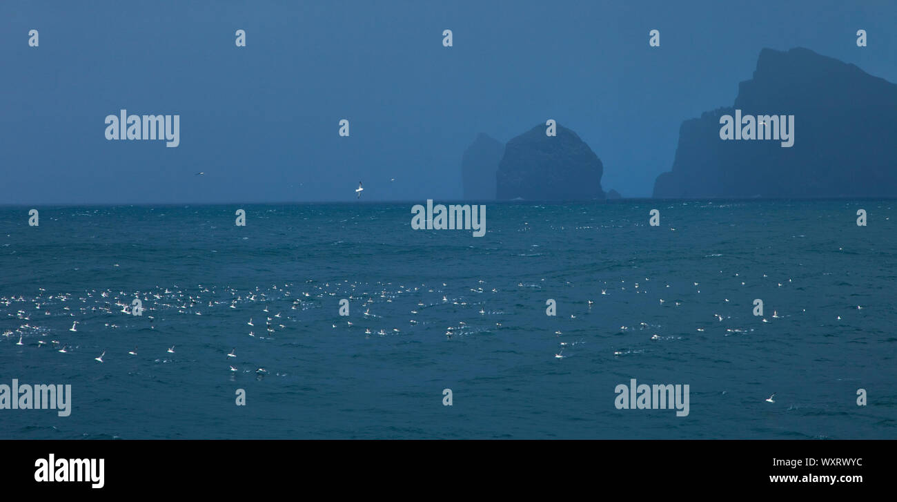 Islas Stac Lee y Boreray. Archipielago St. Kilda. Outer Hebrides ...