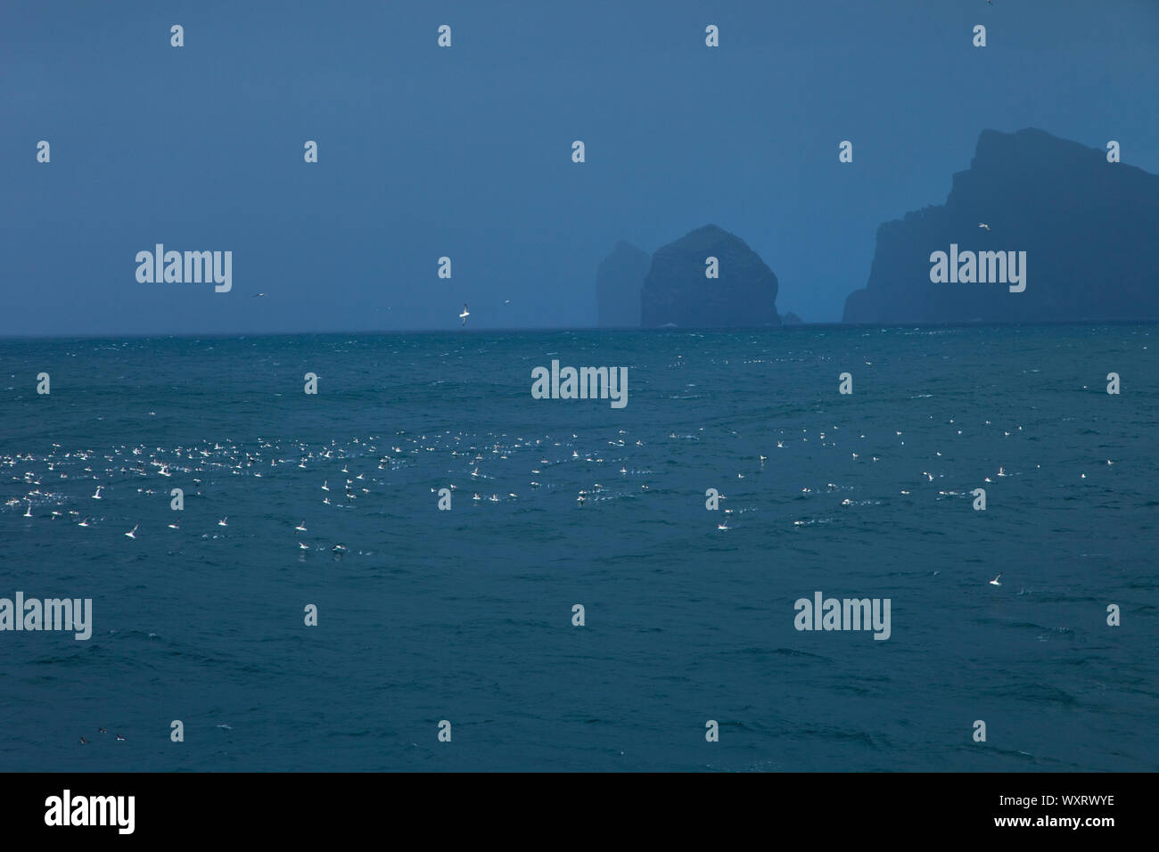 Islas Stac Lee y Boreray. Archipielago St. Kilda. Outer Hebrides ...