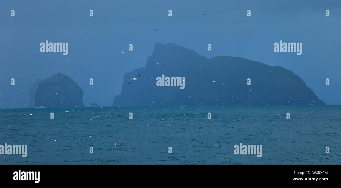 Islas Stac Lee y Boreray. Archipielago St. Kilda. Outer Hebrides ...