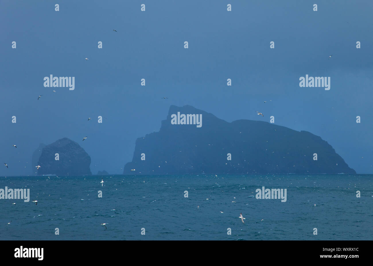 Islas Stac Lee y Boreray. Archipielago St. Kilda. Outer Hebrides ...