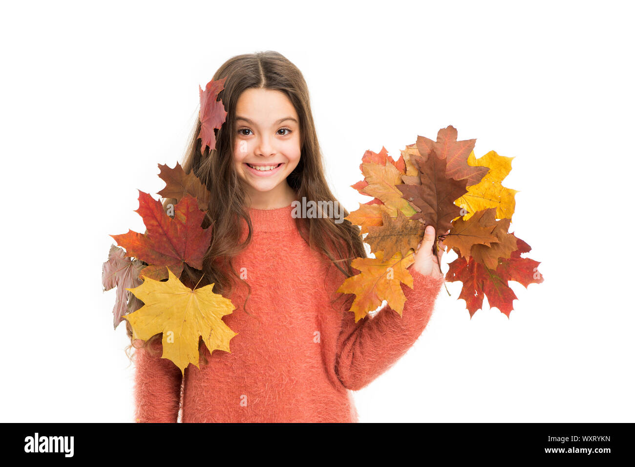 Kid collecting leaves hi-res stock photography and images - Alamy