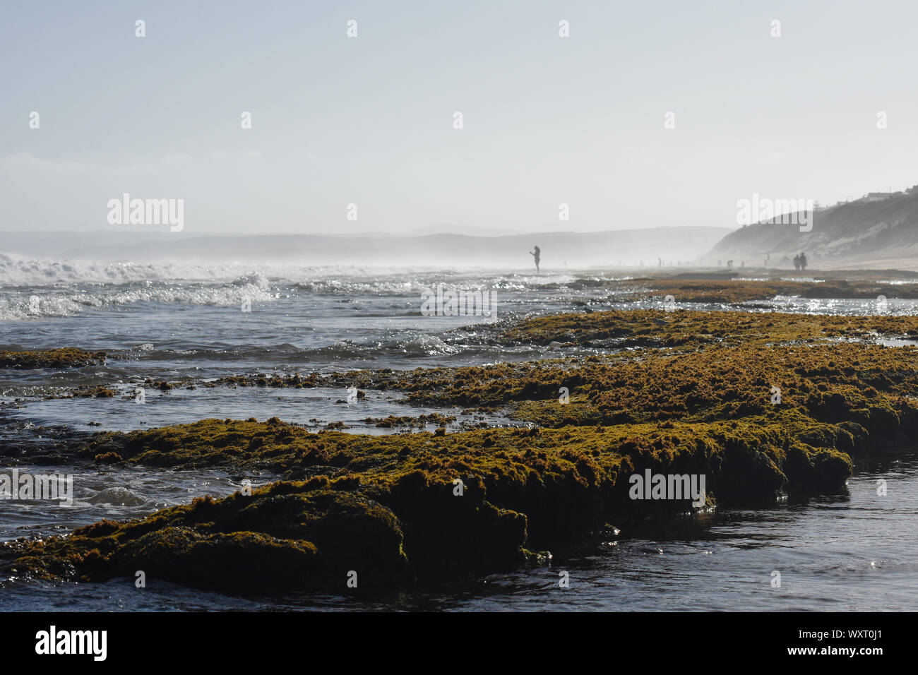 Gray green rock hi-res stock photography and images - Alamy