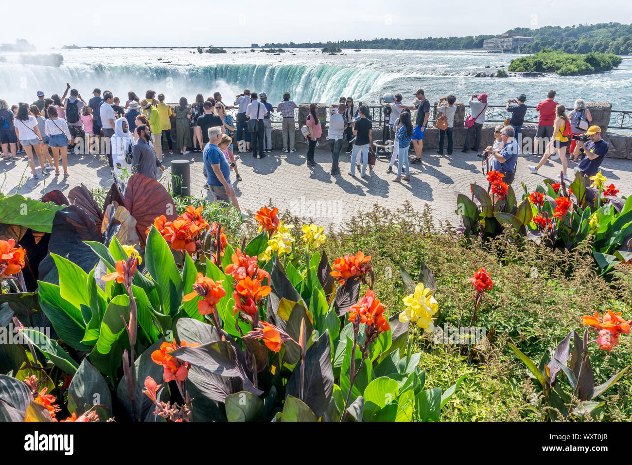 Niagara falls summer hi-res stock photography and images - Alamy