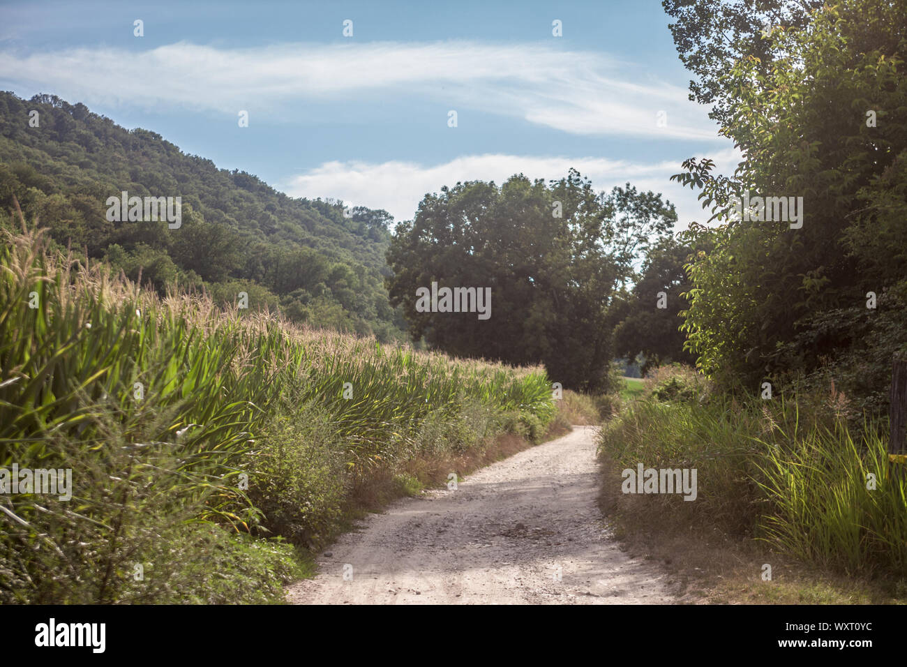 Typical French dirt road, a path in the countryside of France, with ...