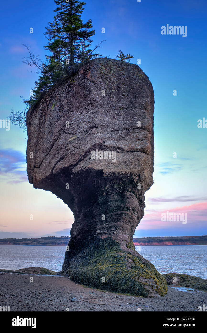 Flowerpots, Hopewell Rocks, New Brunswick, Canada Stock Photo - Alamy