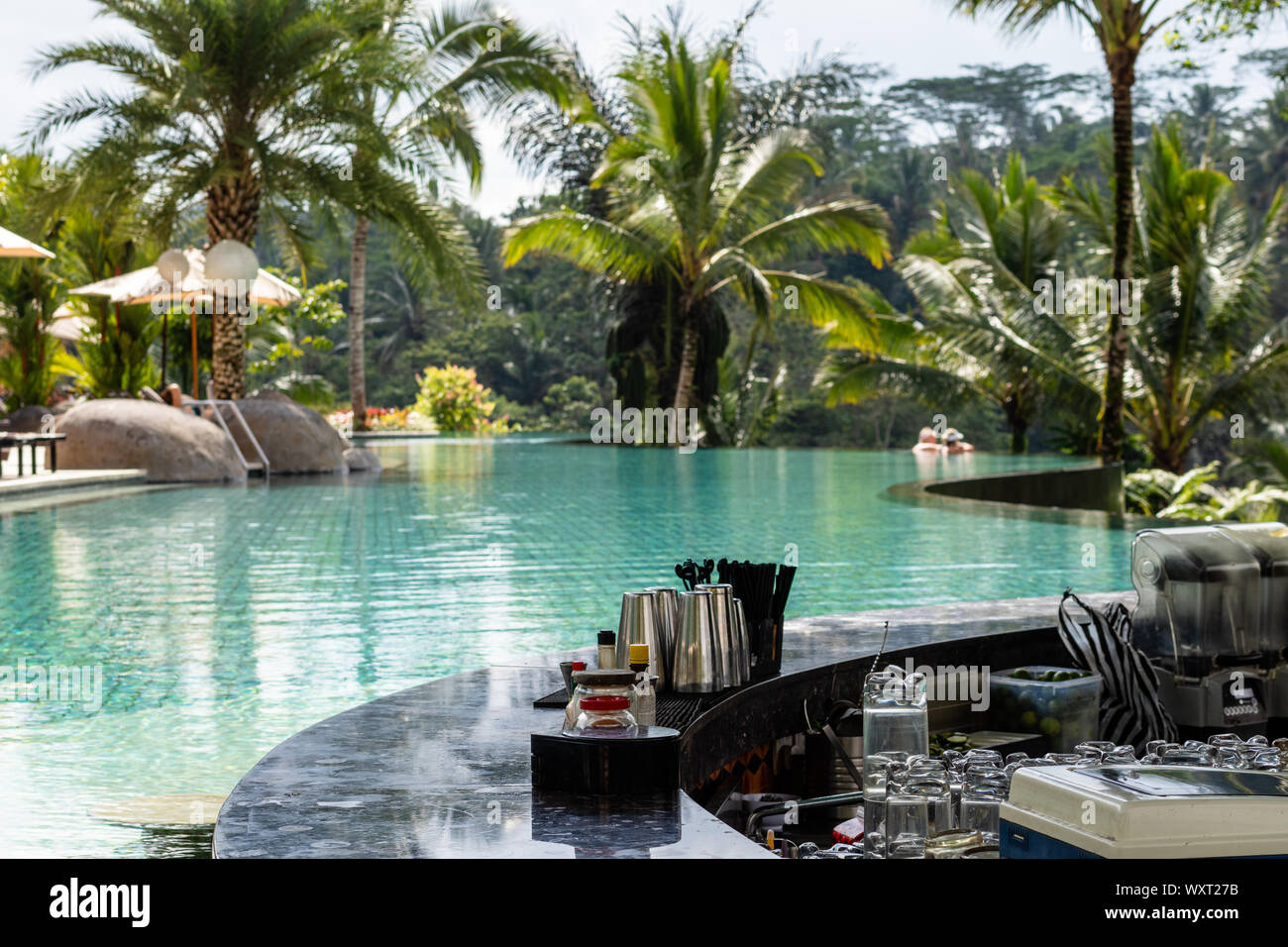 A luxury infinity pool in a tropical resort Stock Photo - Alamy