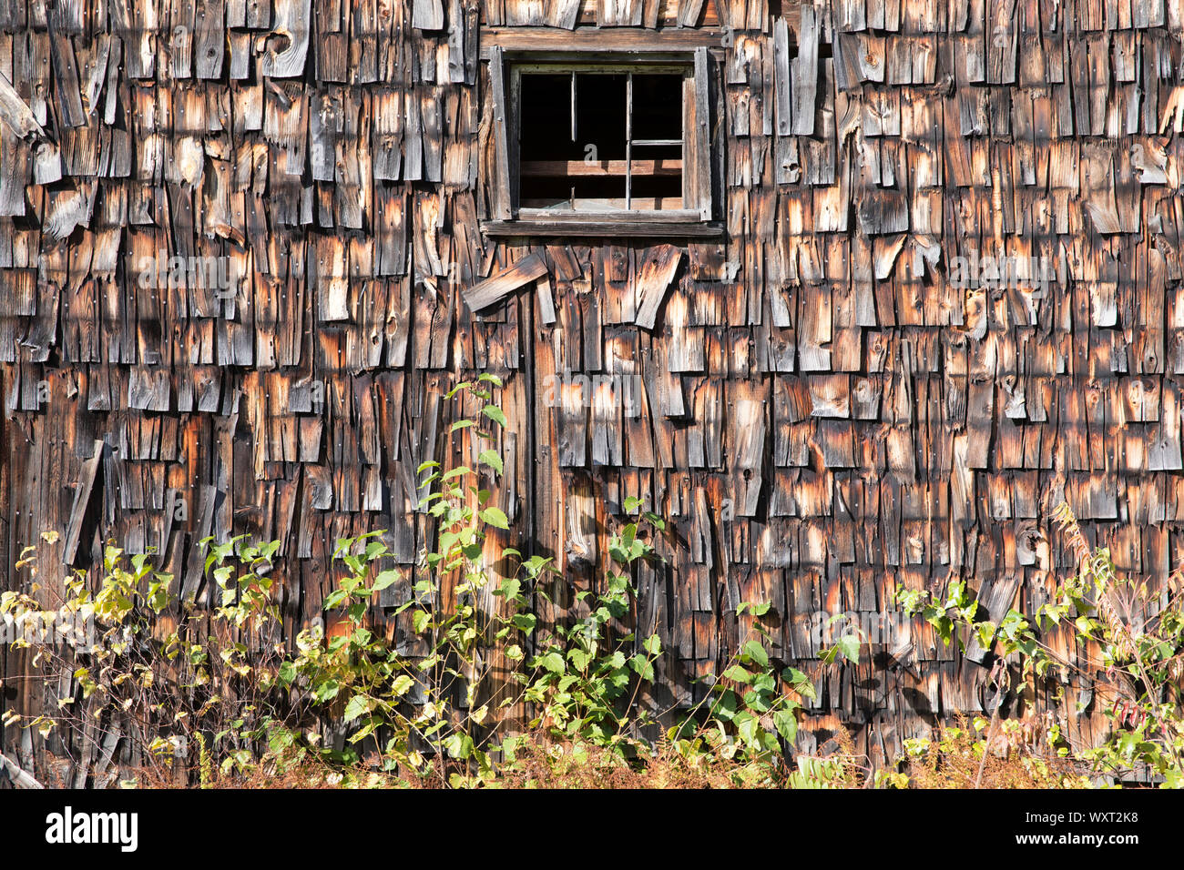 Wooden barn shingles hi-res stock photography and images - Alamy