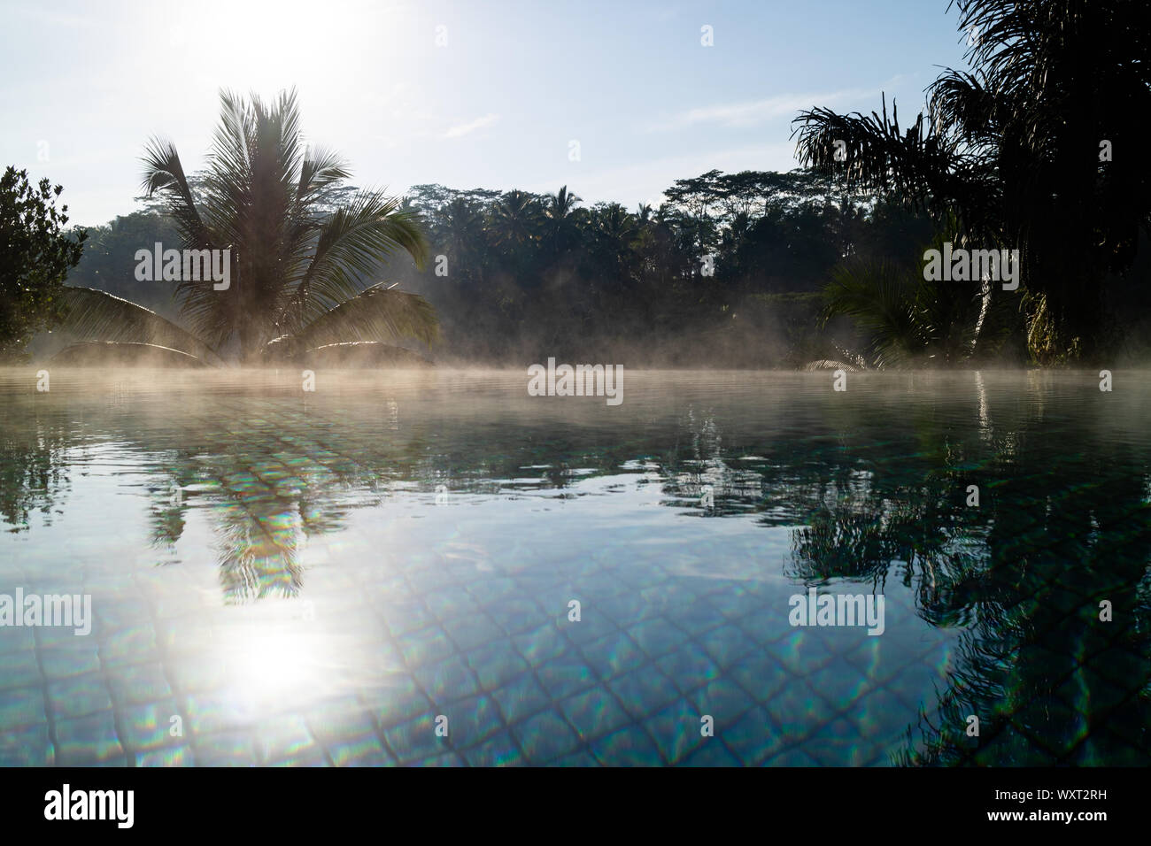 A luxury infinity pool in a tropical resort Stock Photo - Alamy