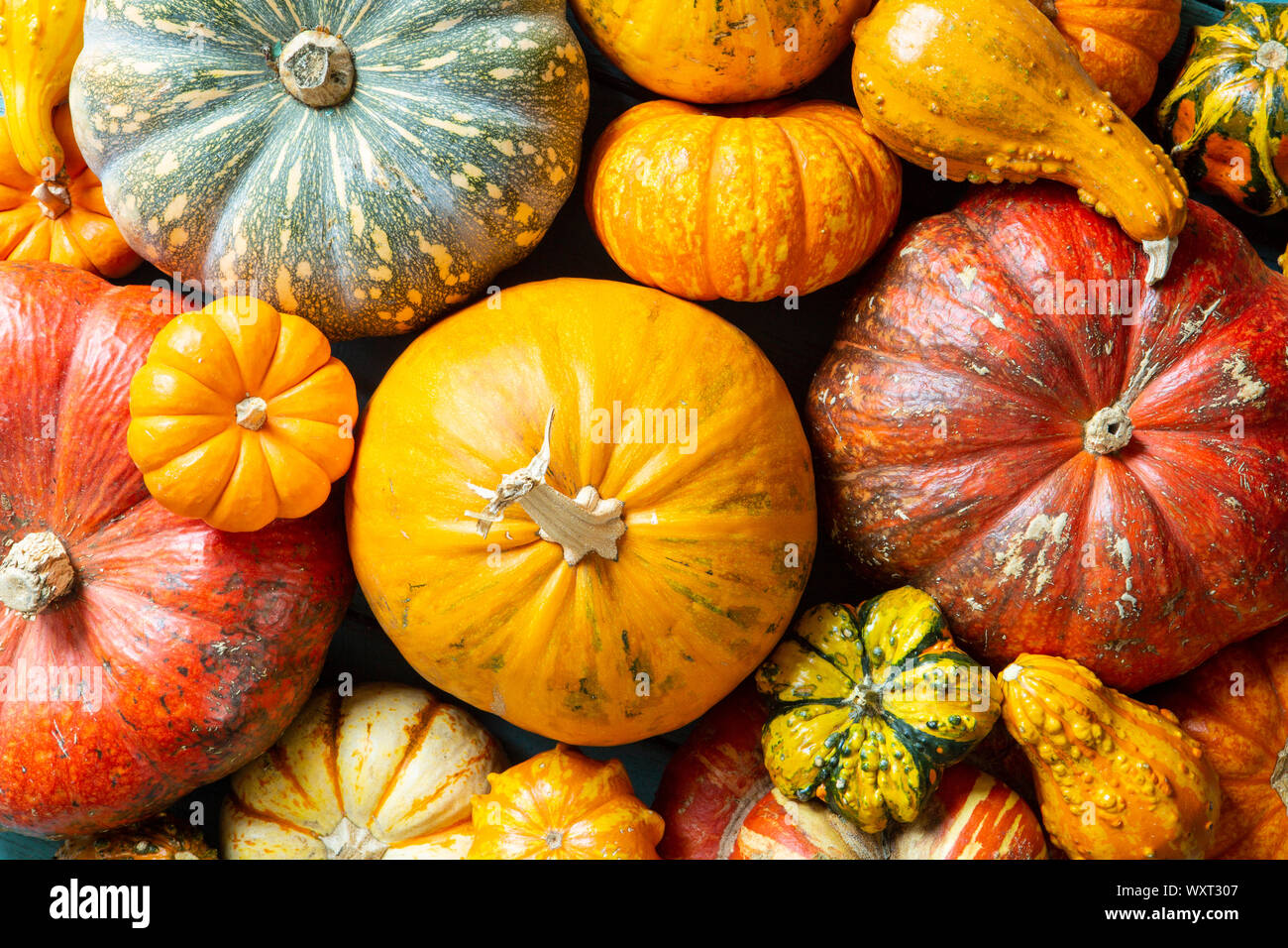 Traditional pumpkins hi-res stock photography and images - Alamy
